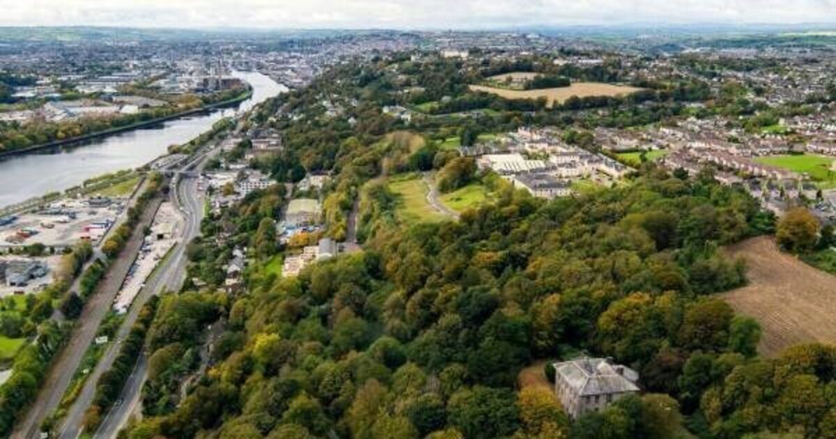 Lotabeg, steal, borrow for one of Cork city’s finest period homes