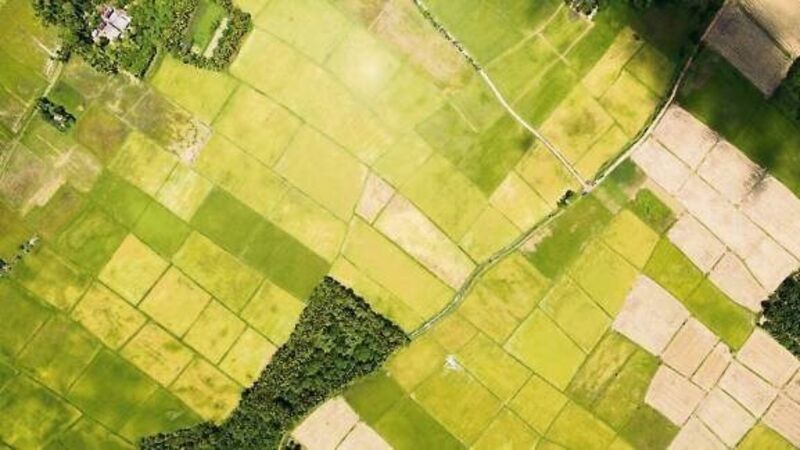 Why partition should be last resort for farm co-owners