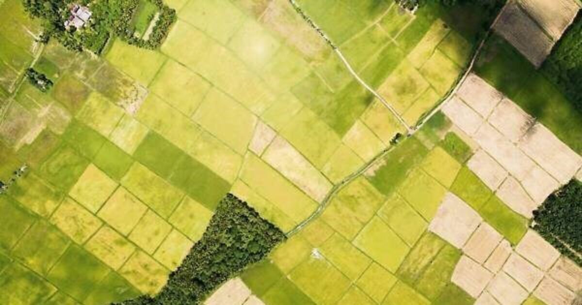 Why partition should be last resort for farm co-owners