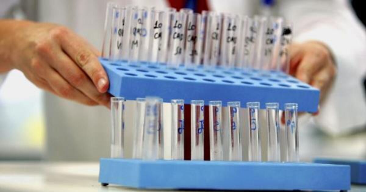 Woman, 44, with terminal cervical cancer launches action for damages ...