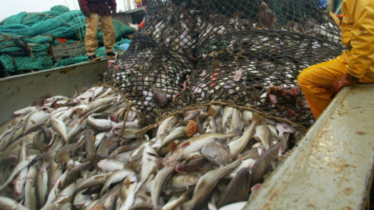 Ireland drops to third on excessive fishing shame list