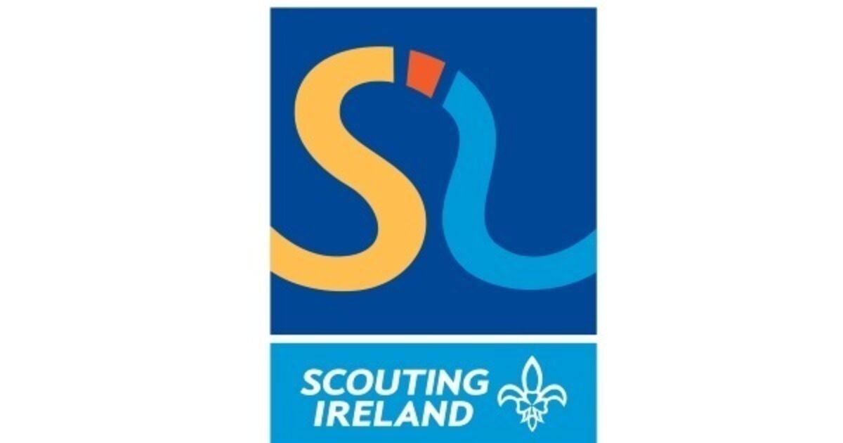 State funding for Scouting Ireland suspended until Board of Directors ...