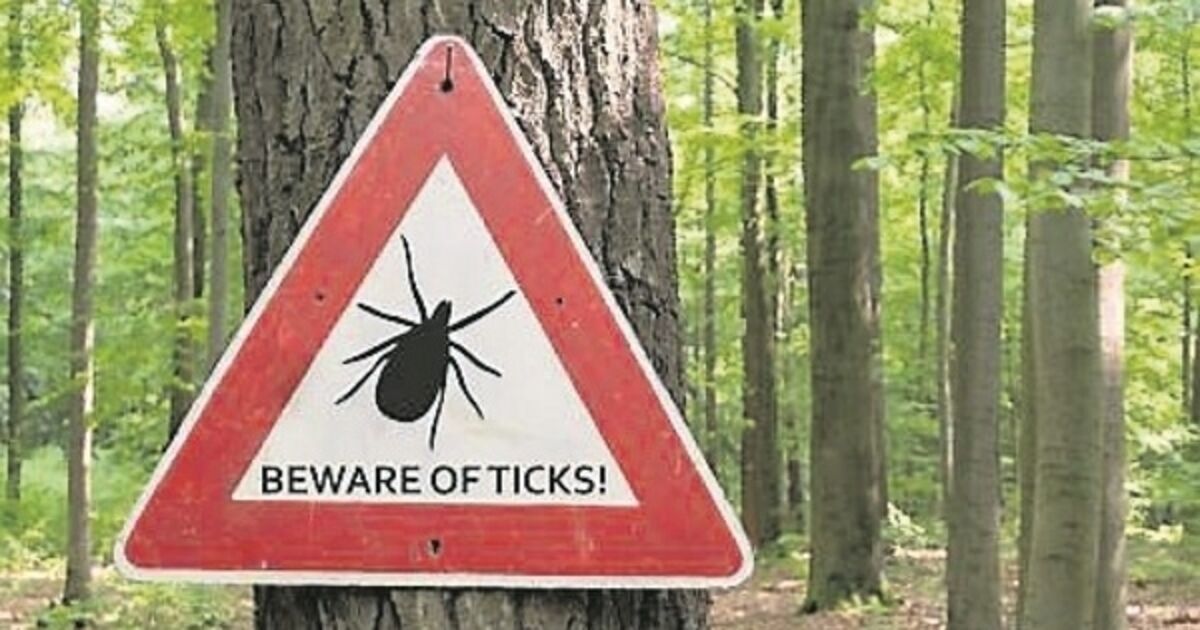 Climate change may see rise in ticks