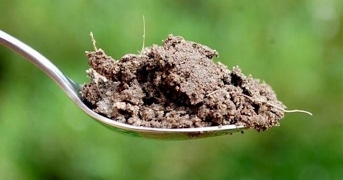 Healing power of some Irish soils no piseog