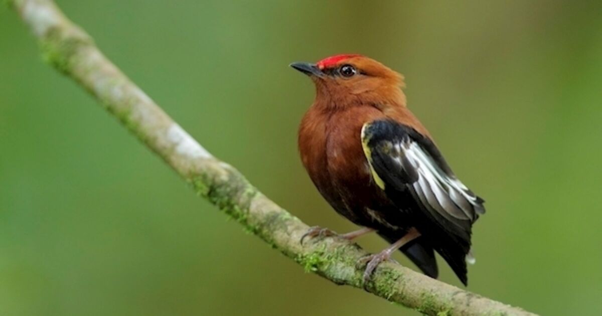 The beauty and unusual beasts of nature