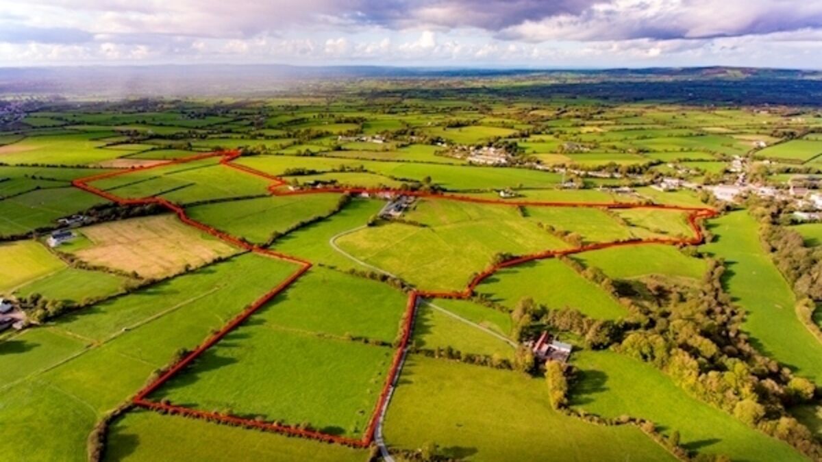 €1m sought for high-quality residential Golden Vale farm