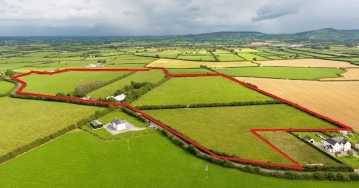 Residential Adare farm sells for €530,000