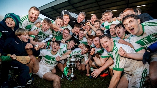 Ballyhale take Leinster title as Shefflin’s innate knack for simplicity ...