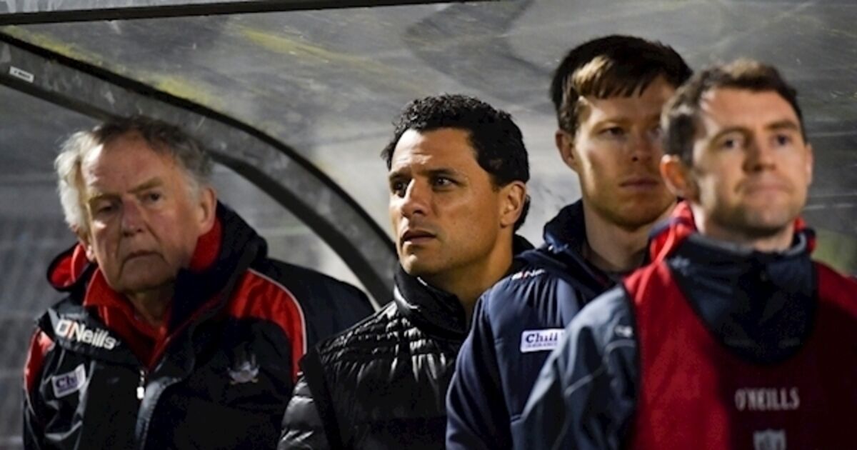 Christopher Joyce relishing Howlett link-up