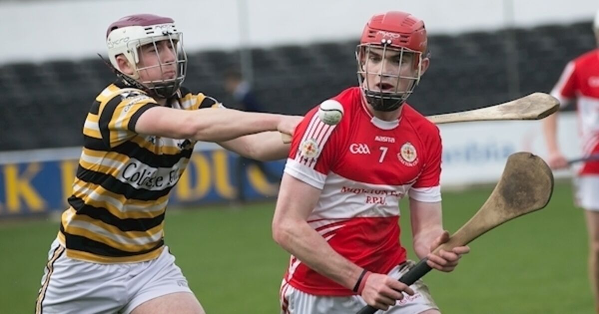 Dramatic Hankard winner sees Midleton CBS progress