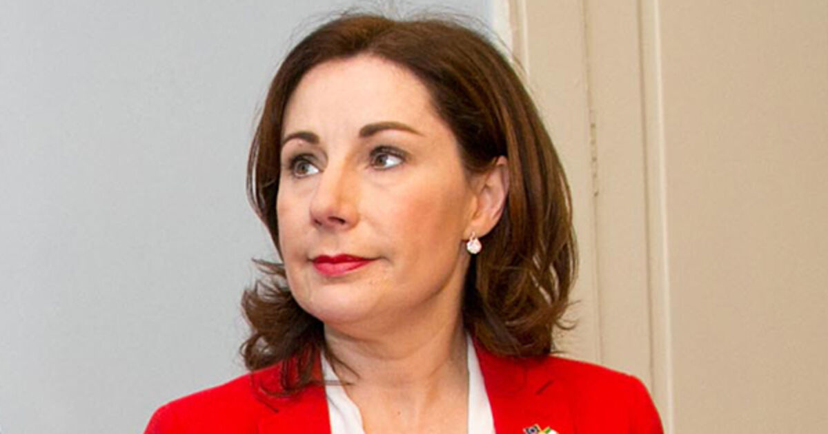 Josepha Madigan says TD's swing compensation case 'nothing to do with me'