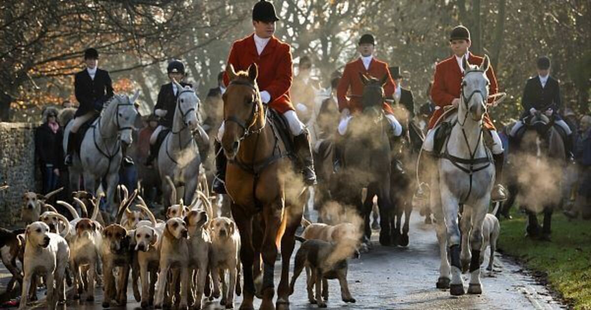Woman injured in fox hunt loses action for damages