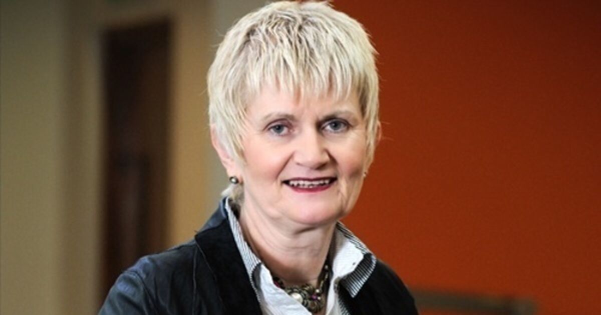 MEP Marian Harkin will not seek re-election