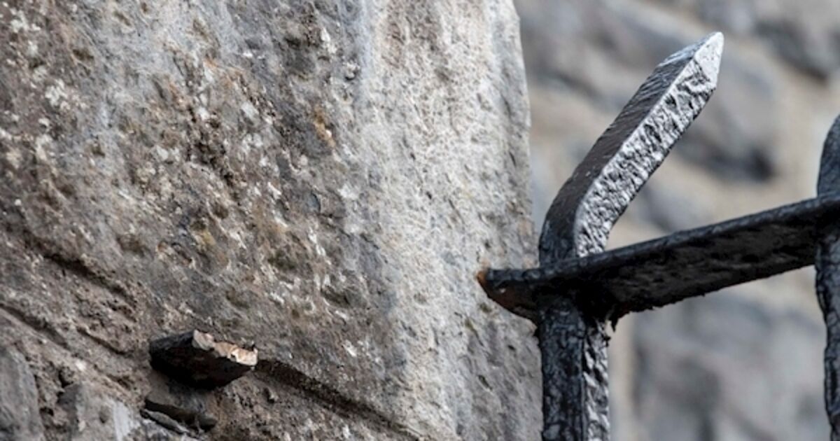 Man undergoes surgery to have spike removed from hand after being ...