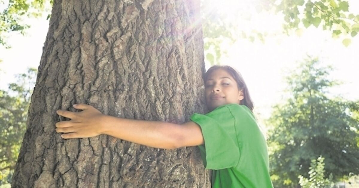 Why you should go hug a tree