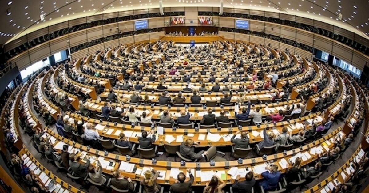 Special Report: Irish MEPs claim €600k each