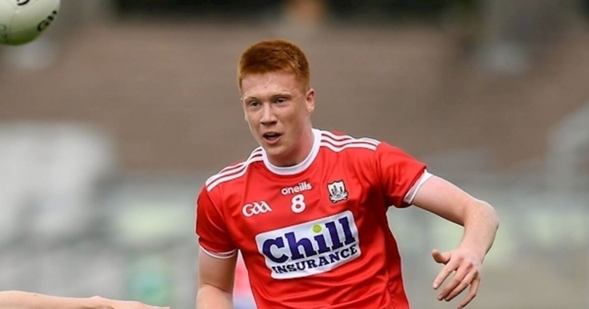 Brian Hartnett hitting new heights from a standing start