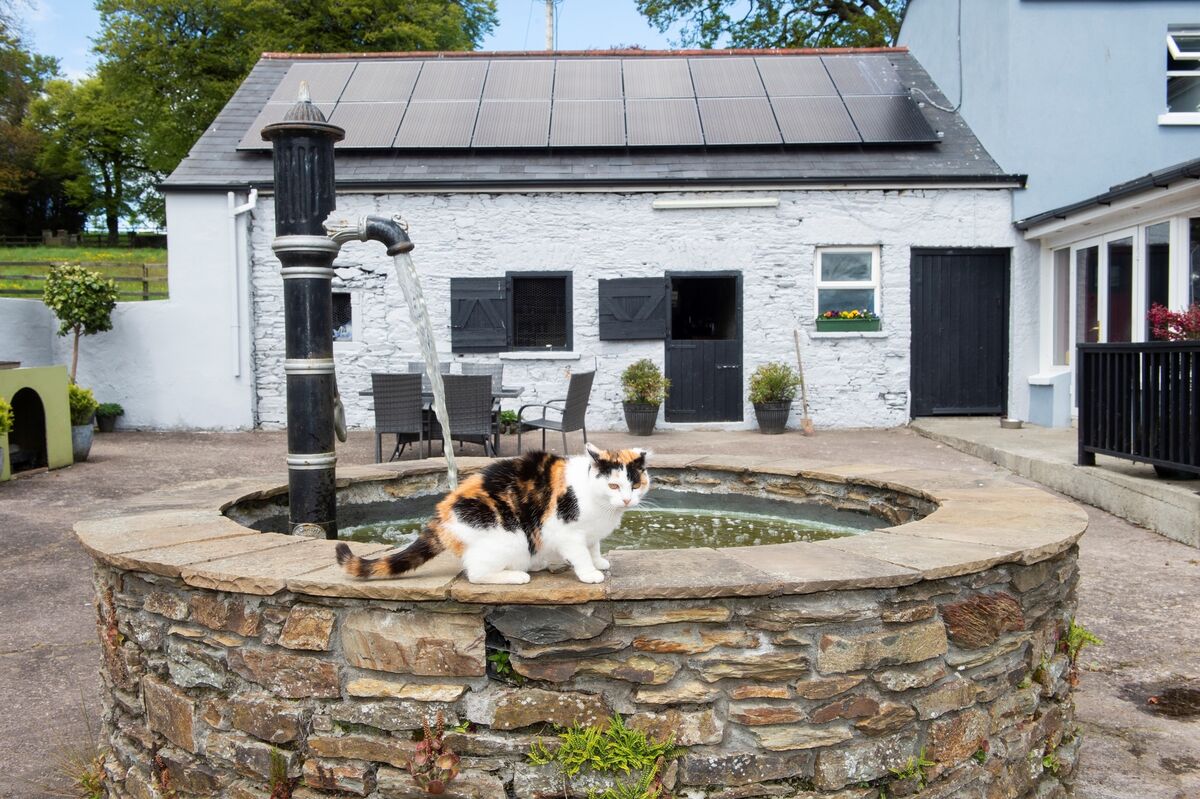 Country home has 'Aga can-do' attitude as birthplace of Coolmore Foods