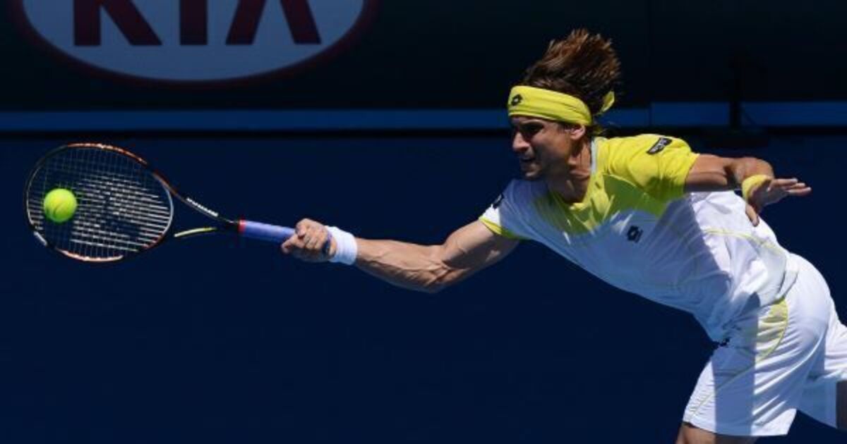 Ferrer cruises into Australian Open quarter-finals