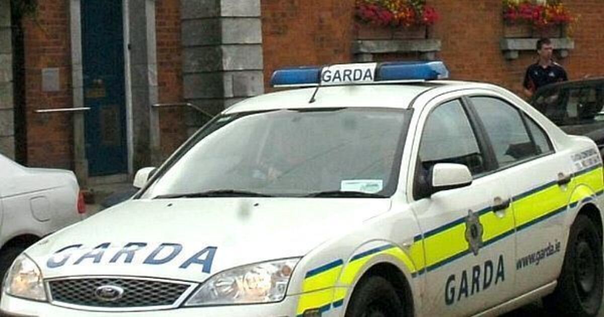 Government to increase Garda fleet numbers