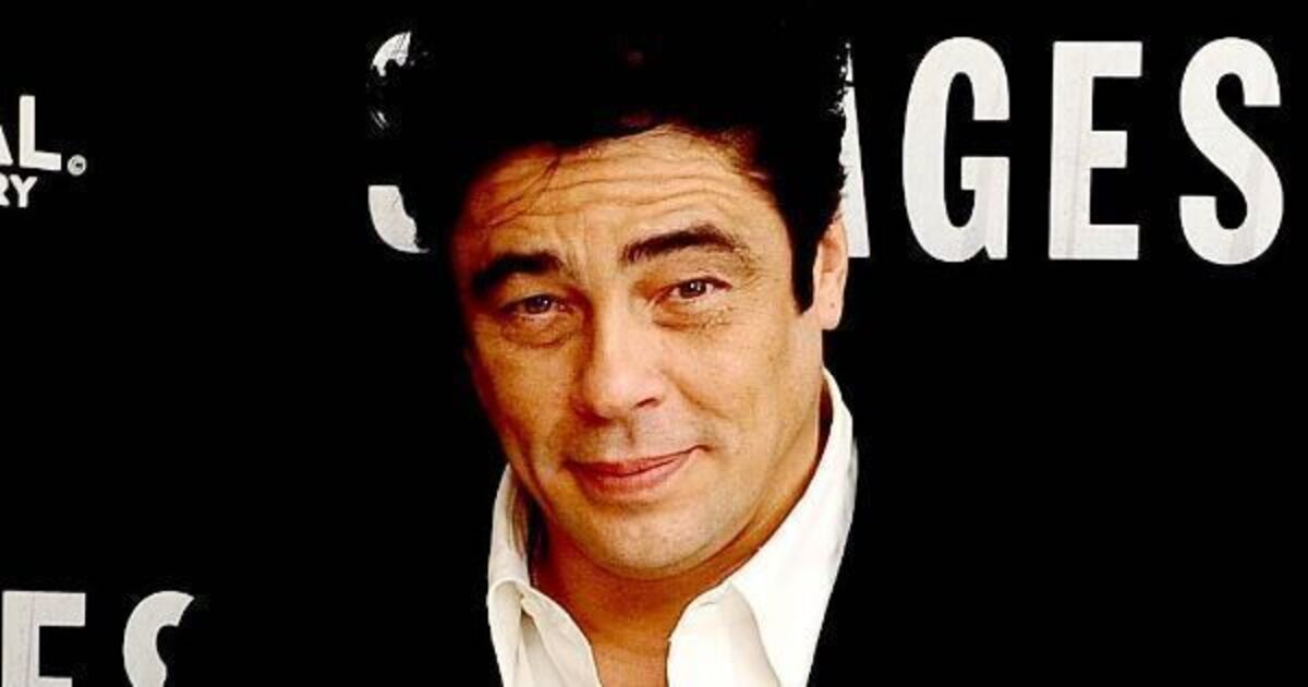 Del Toro set for romance role