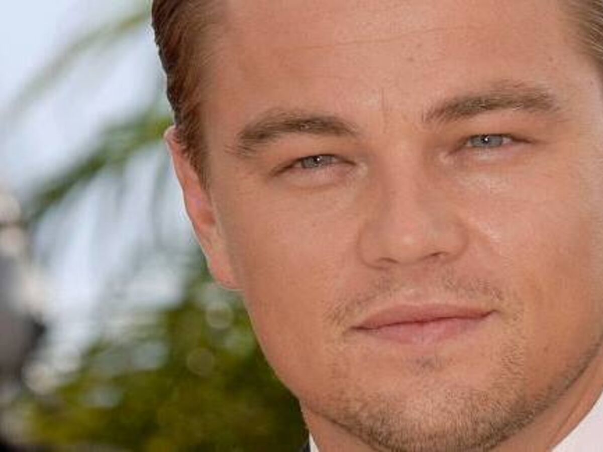 Leonardo Dicaprio Django Hair