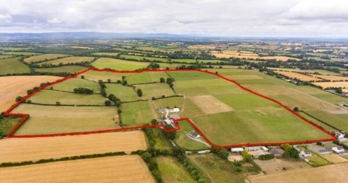 106-acre residential farm guided at €10,000-€12,000/acre
