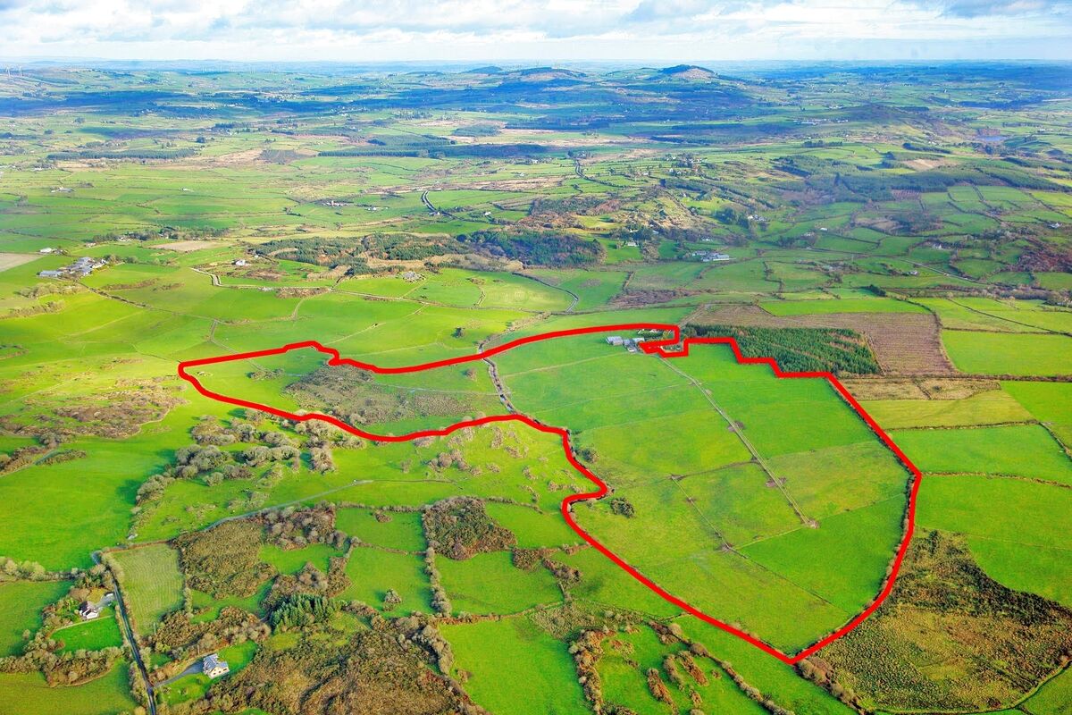 Big interest in rare Skibbereen farm