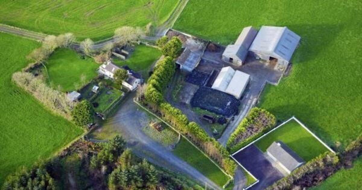 Big interest in rare Skibbereen farm