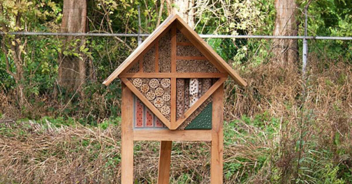 Irish insect farmers in global Top 100 solutions