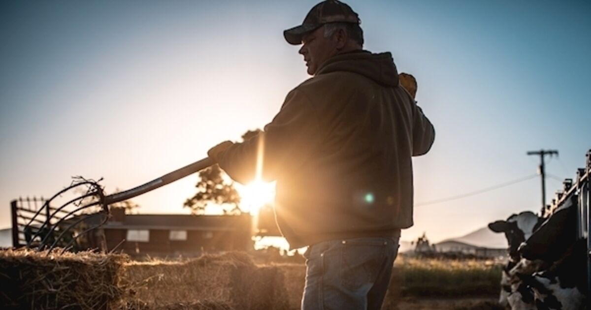 Downturn in US farming reminiscent of the 1980s