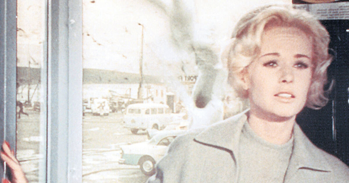 The real stars of the silver screen