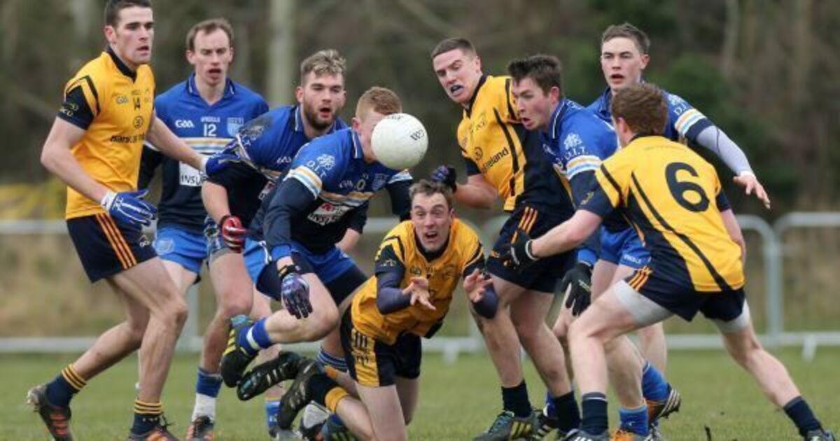 Resolute DIT defy the odds