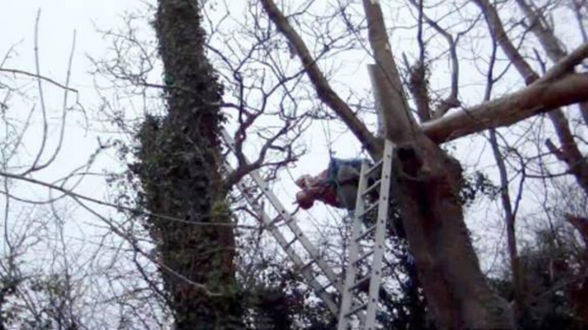 Rescue as man left hanging from tree by broken leg