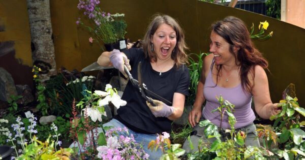 Mallow to show us how gardens grow