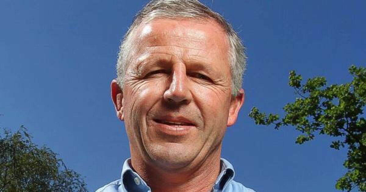 All Black legend Fitzpatrick says an Irish bid for World Cup would be ...