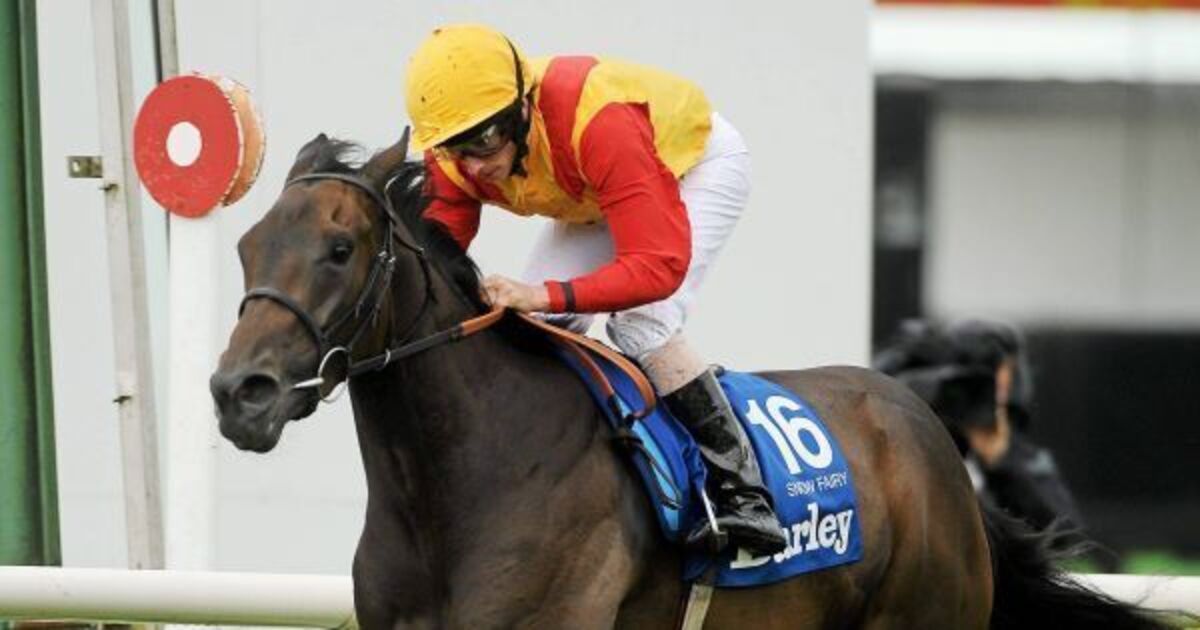 Snow on target for Royal Ascot after Sandown spin