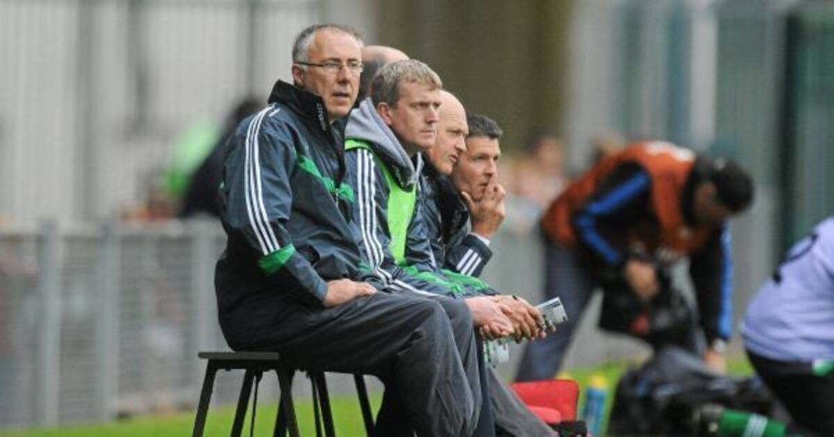 Lyons’s arrival breathes new life into Limerick hurlers