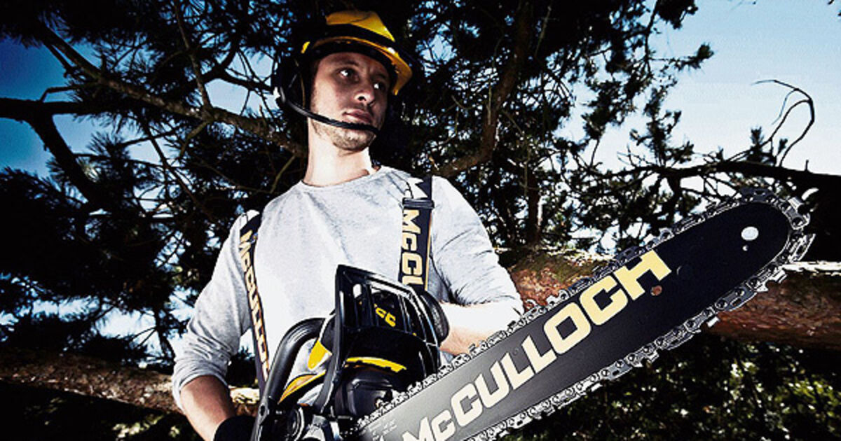 Unlicensed tree felling fines top €1m