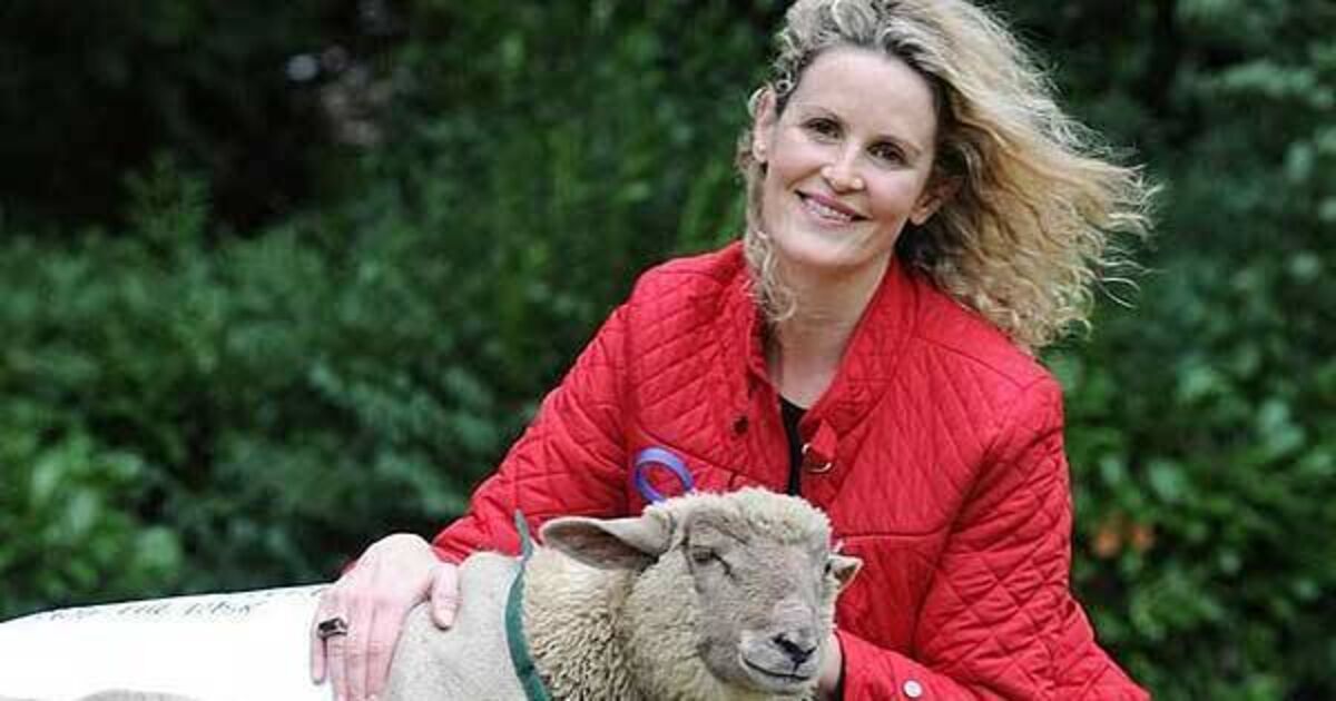 The Shape I'm In: Helen Carroll, TV presenter