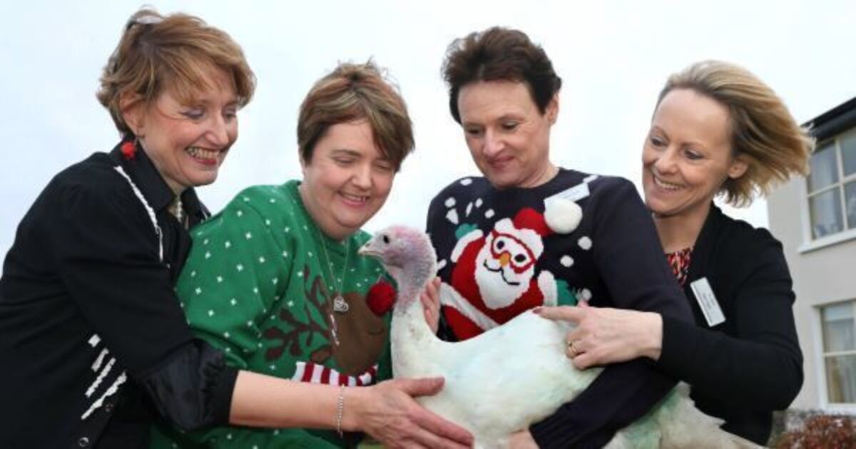 Trixie the luckiest turkey in the land