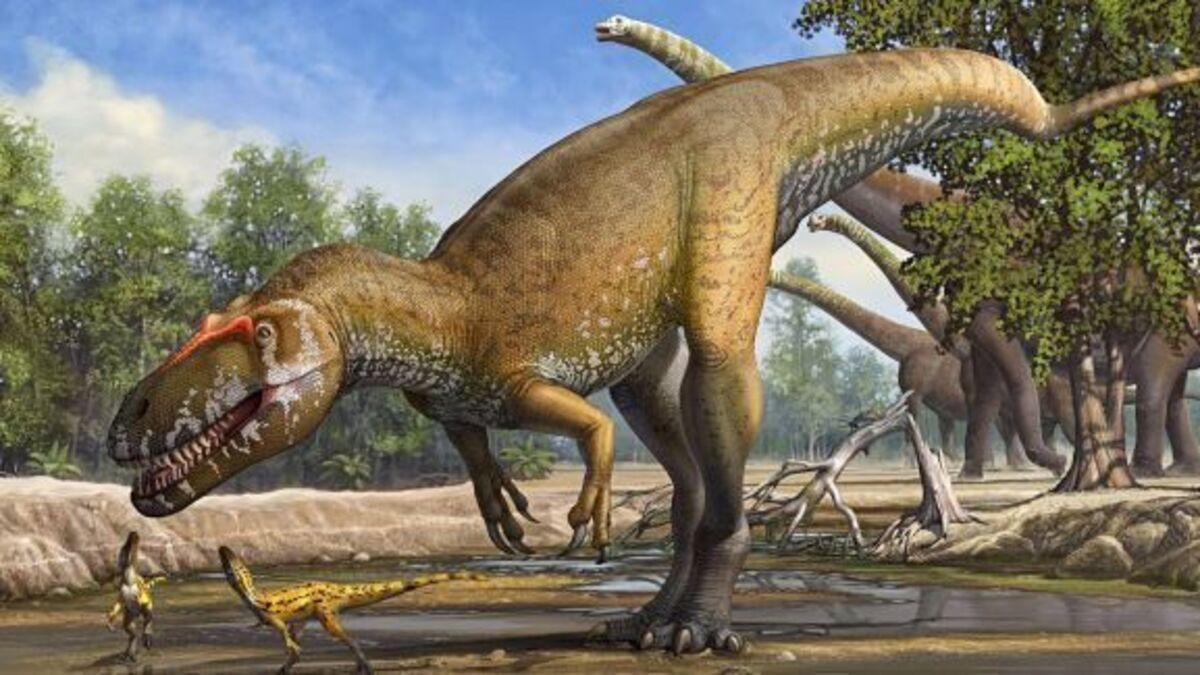 Europe’s dinosaur king Torvosaurus unearthed