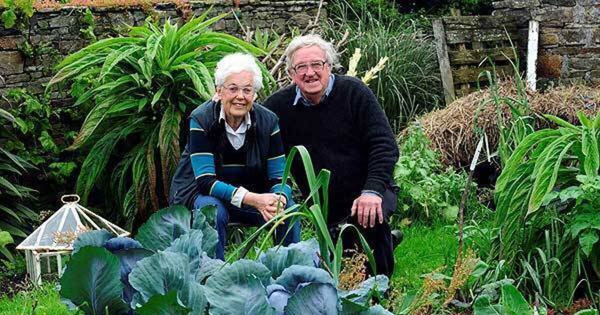 Joyous garden mash-up