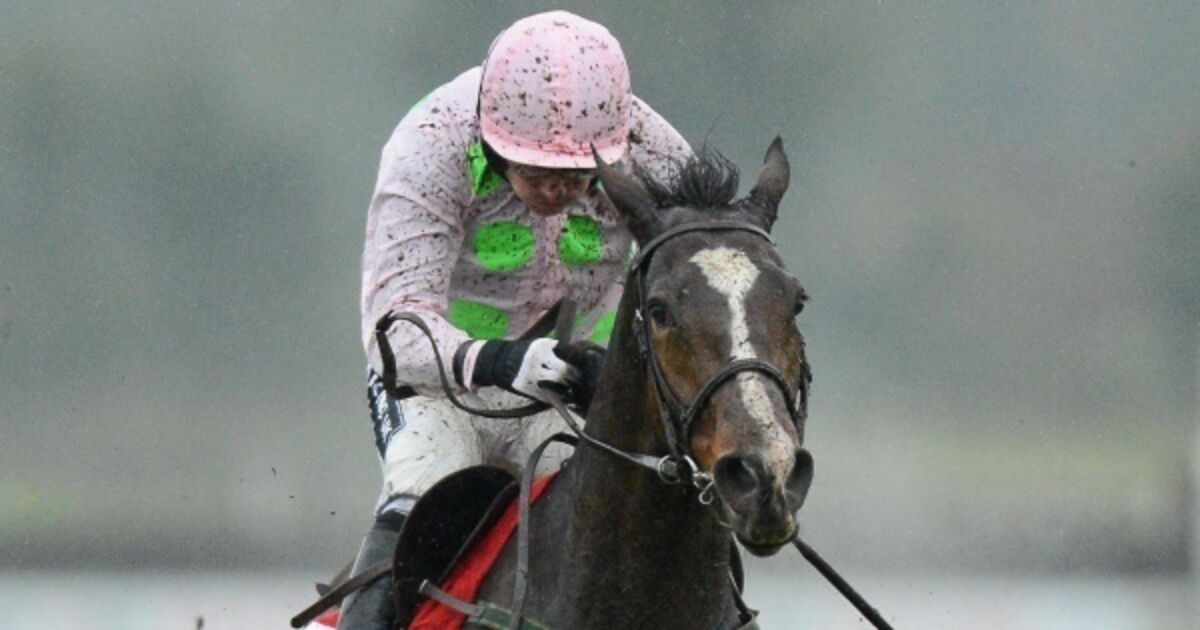 Vivega can make winning start