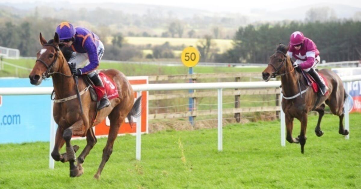 Wicklow Brave looks tastyat 14/1 for Supreme Novices