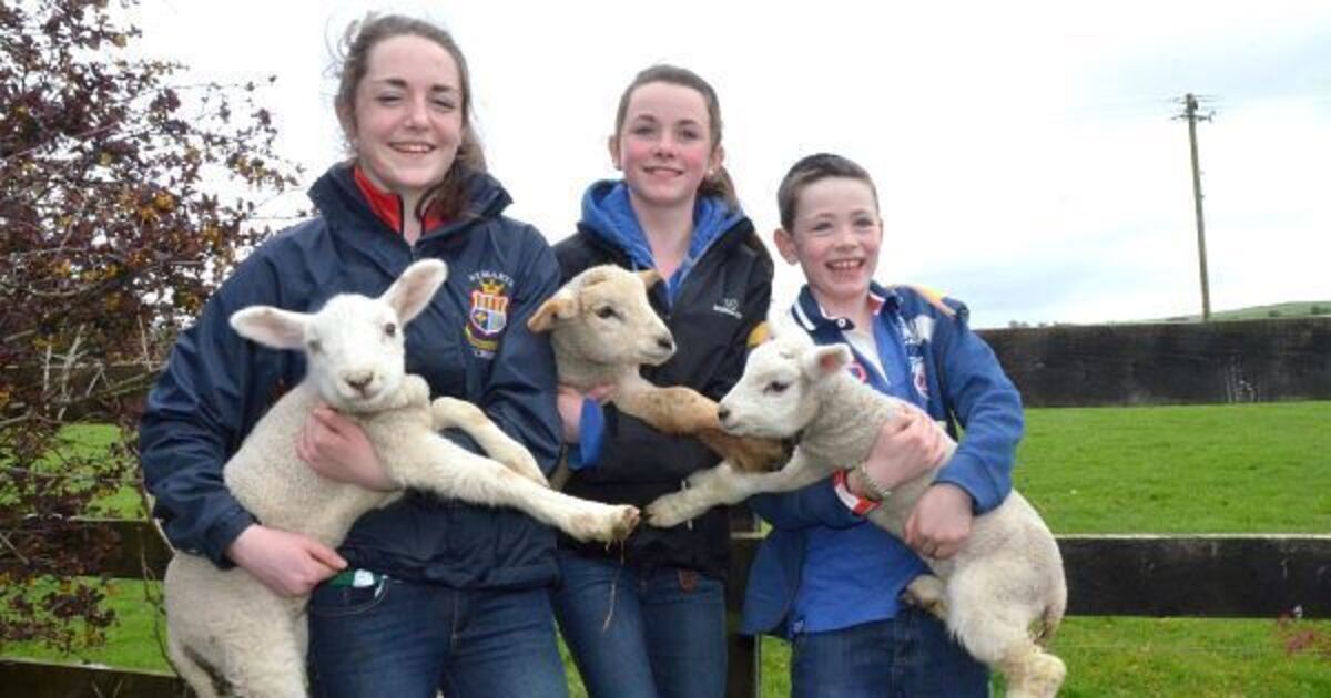 On the frontline in battle against EirGrid powerline network