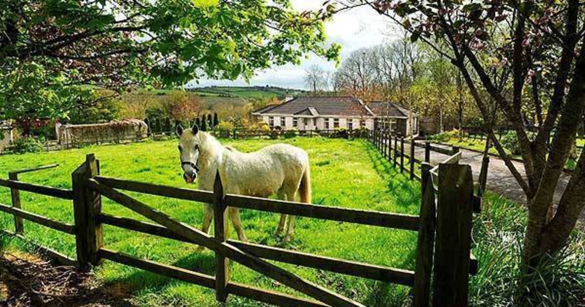 House of the week: Ballygarvan, Cork €475,000
