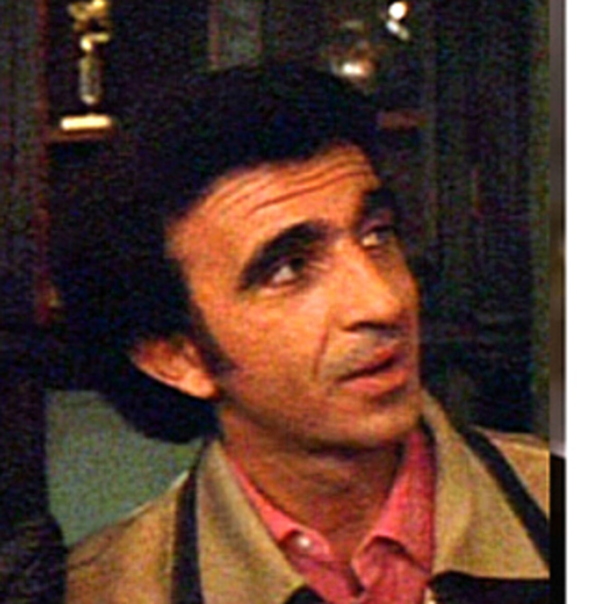 Frank Sivero Simpsons