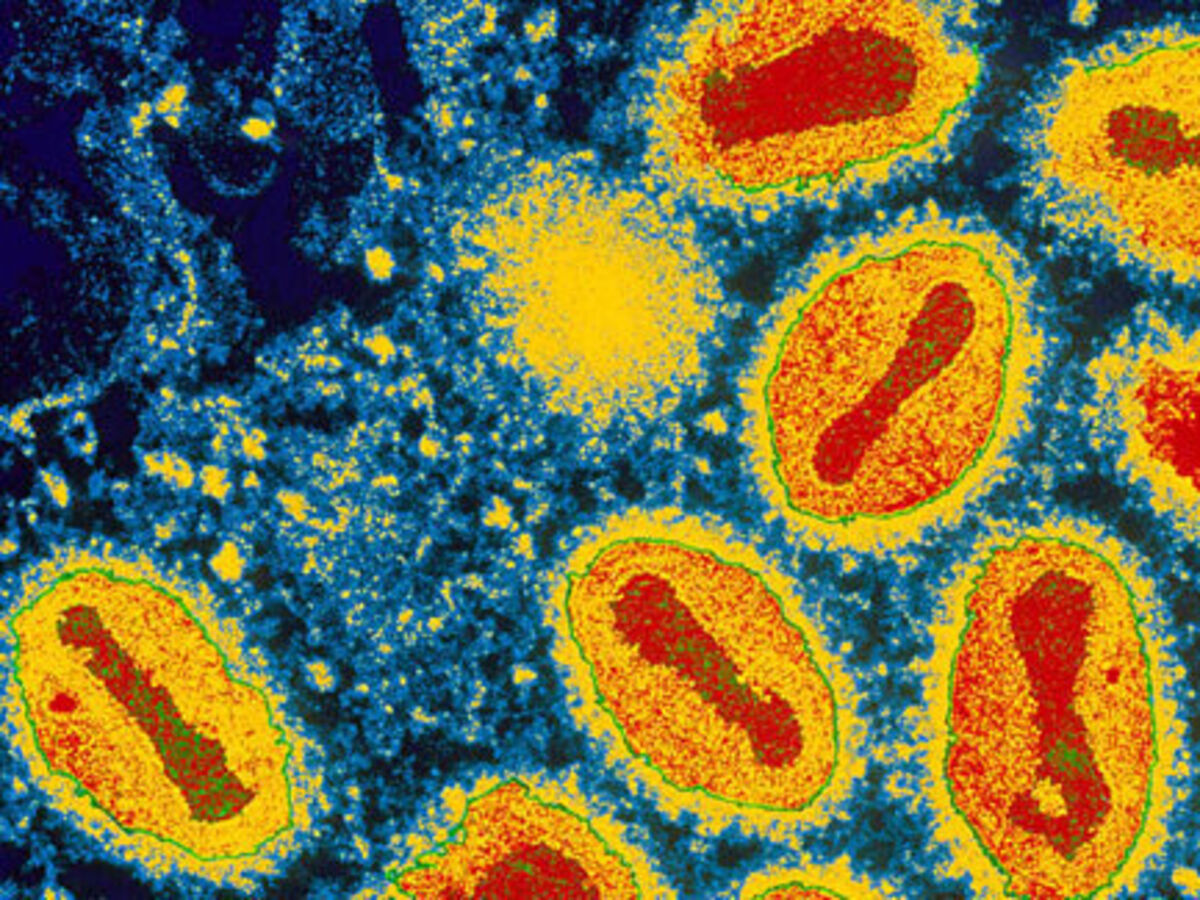 Smallpox Bacteria