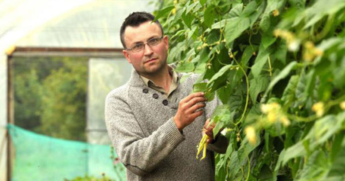 Organic right choice for Rory, a city boy turned farmer